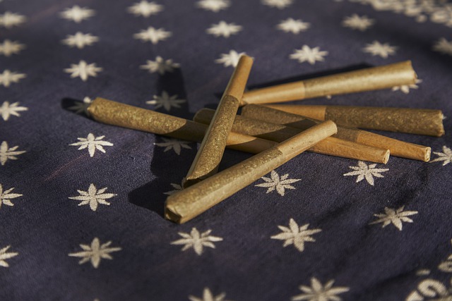 Comment Rouler Convenablement Un Joint